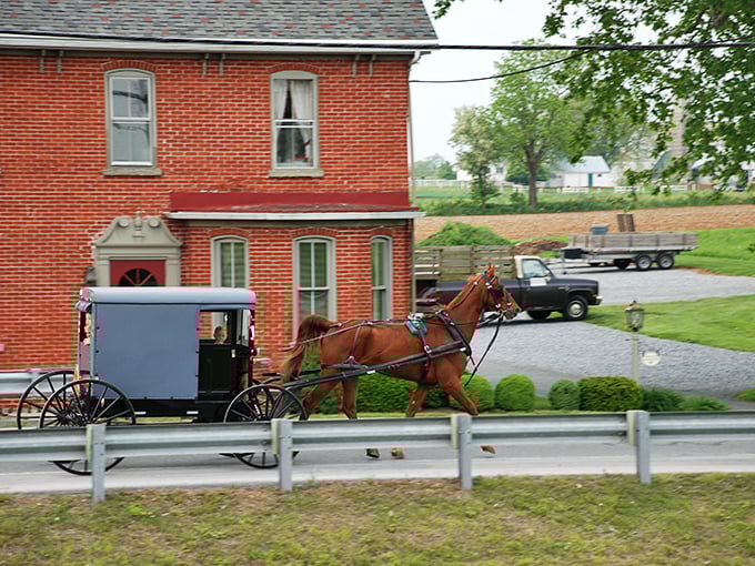 Where horsepower has a literal meaning! This Amish buggy passing a brick farmhouse is Pennsylvania's rush hour.