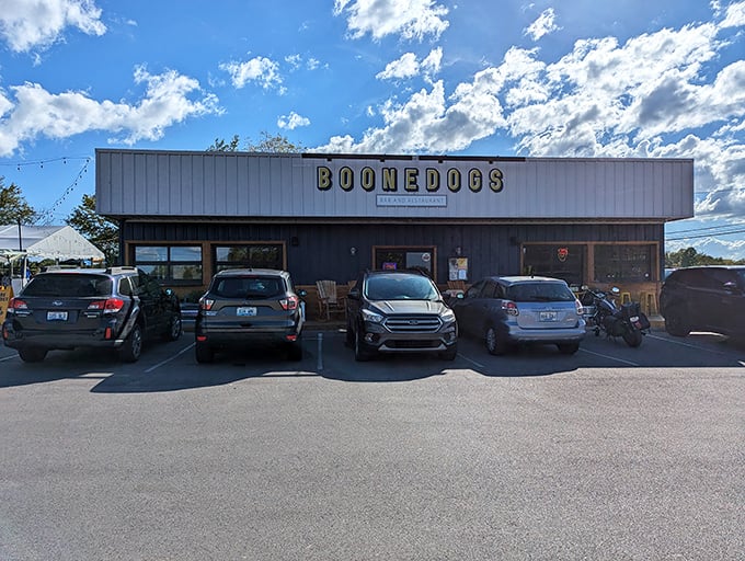 Don't judge this book by its cover - that simple gray building houses some seriously good dogs.