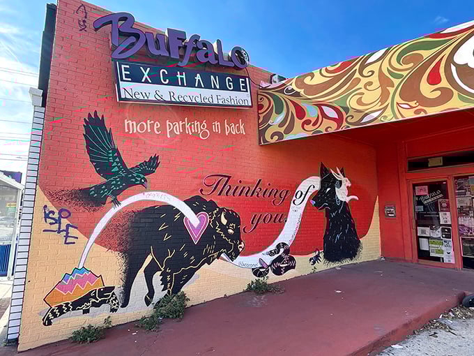 Now that's some street art with personality – a buffalo and tuxedo cat sharing a moment that's pure Austin quirk.