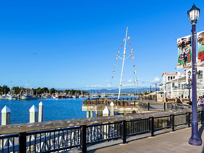 Eureka's waterfront boardwalk whispers stories of Victorian elegance while your wallet stays comfortably full in your pocket.