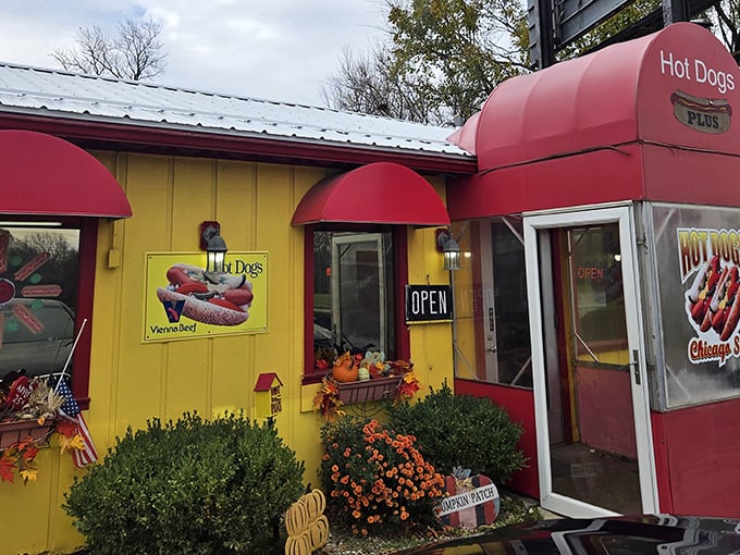 When a hot dog joint paints itself sunshine yellow, you know they're not afraid to stand out.