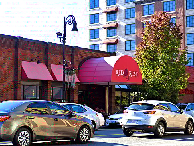 Red Rose Pizzeria proves that great pizza doesn't need fancy architecture, just passionate pizza makers inside.