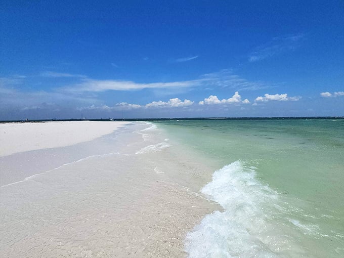 South Anclote's waters – where the Gulf of Mexico shows off its Caribbean-blue credentials without the passport requirement.