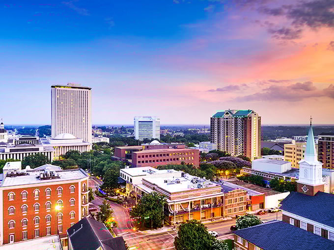 Tallahassee's skyline at sunset—where Southern charm meets capital city convenience without emptying your retirement fund.
