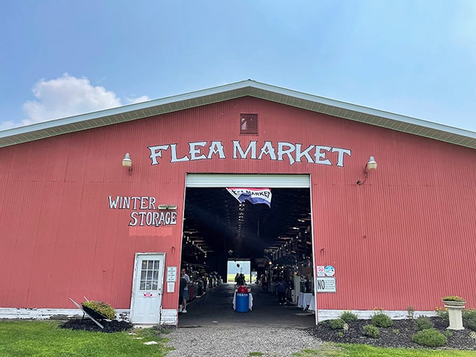 That classic red barn exterior promises old-fashioned charm with modern treasure hunting thrills waiting just inside.