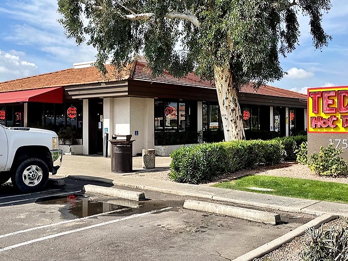 Ted's Hot Dogs sits unassumingly under Arizona skies, but that charcoal grill inside works miracles. The aroma alone will make you a regular.