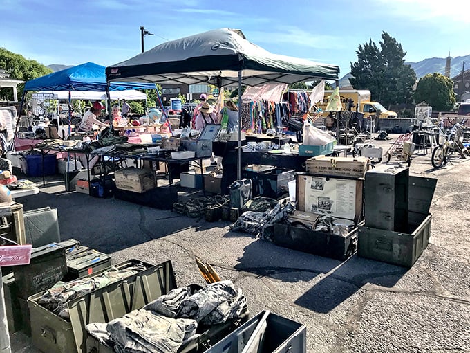 Mountain backdrop meets marketplace magic where rusty treasures wait patiently for their second chance to shine.