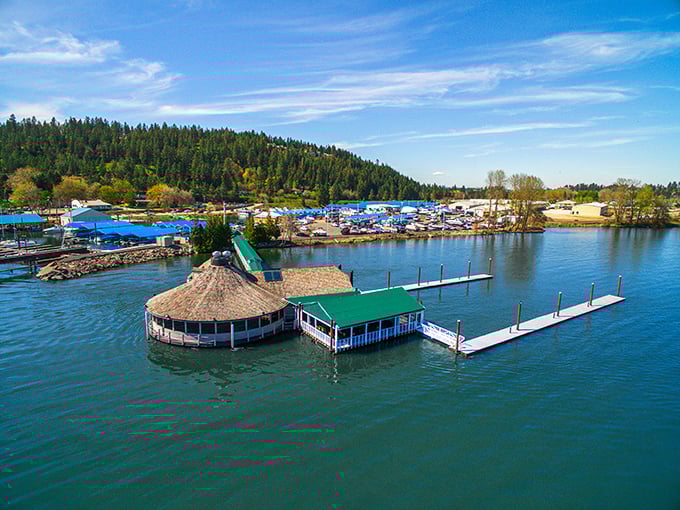 The Cedars isn't just floating on water—it's floating your taste buds to seafood heaven with that picture-perfect lake view.