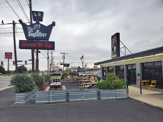 The Dogfather's outdoor seating area makes an offer you can't refuse: great dogs under open Texas skies.