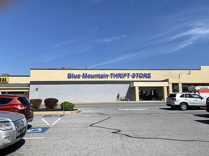This sprawling thrift wonderland proves that one person's "gently used" is another's perfect find.