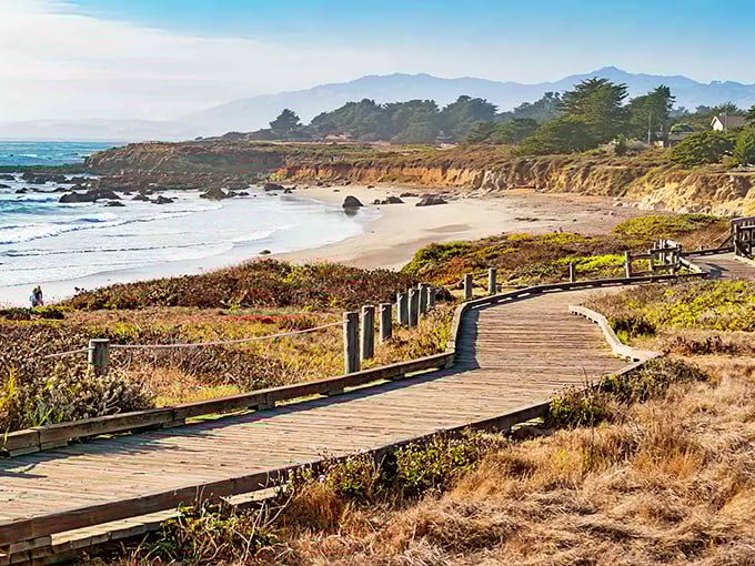 A wooden boardwalk invites you into Cambria's coastal magic. The perfect path for contemplating life's big questions or just tomorrow's breakfast.