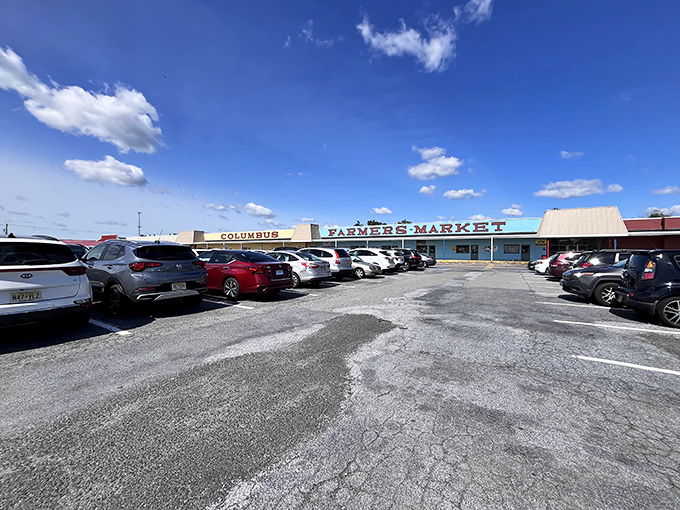 This parking lot transforms into a treasure hunter's dream every weekend - bring comfortable shoes!