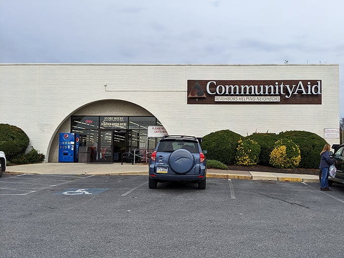 When a thrift store needs this many shopping carts, you know you're in for some serious bargain hunting.