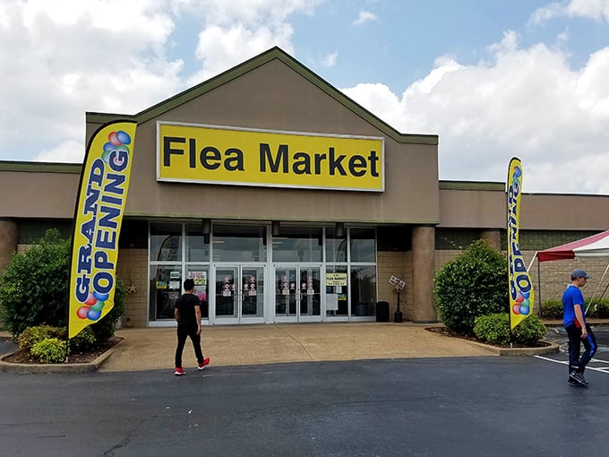 The bright "GRAND OPENING" flags welcome shoppers to this treasure trove just off the interstate.