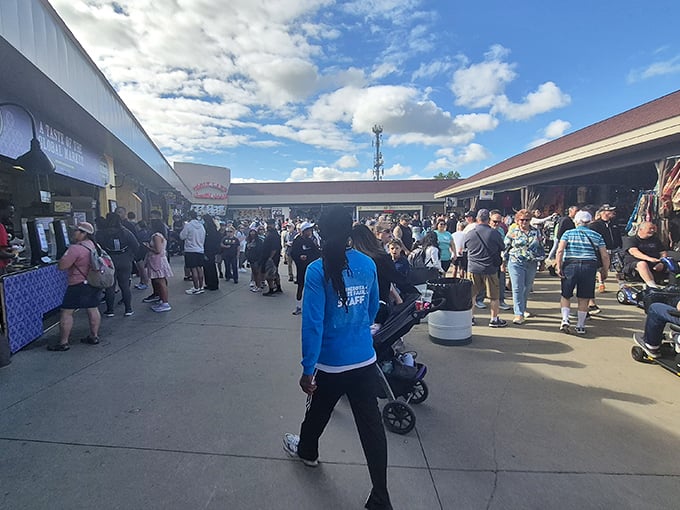 Crowds gather like it's the hottest ticket in town, because nothing beats discovering global treasures right here in Minnesota.