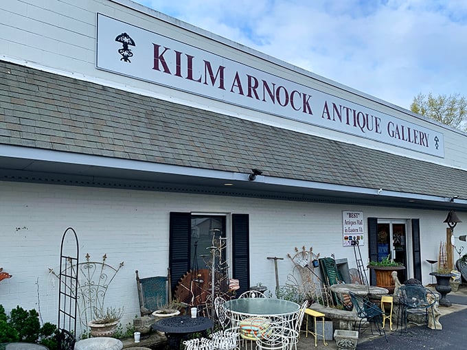 That pristine white facade promises organized treasures inside – no dusty attic diving required for these vintage finds!