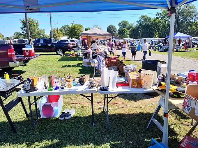 Outdoor markets buzz with that special energy where community spirit meets serious treasure hunting adventure.