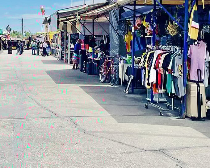 Rows of vendors stretch endlessly, each table holding someone's perfect find at an unbeatable price.