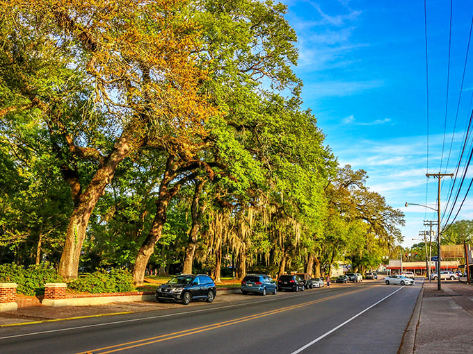 Majestic oak trees line St. Francisville's streets, offering free shade and Southern charm that doesn't cost a penny to enjoy.