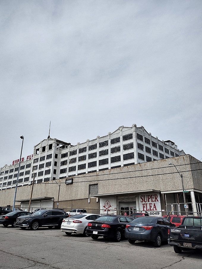 From department store to treasure trove - this building's second act steals the show completely.