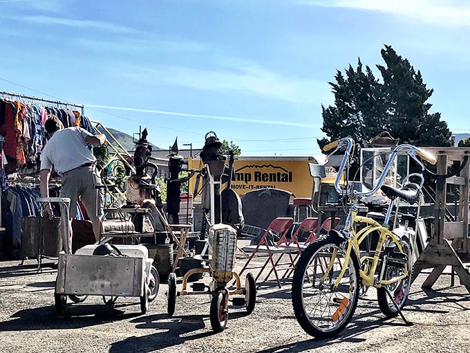 Old bicycles and weathered wonders create an outdoor museum where everything has a price tag.