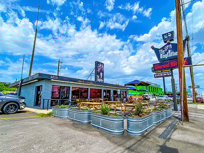 Blue skies, picnic tables, and gourmet hot dogs – The Dogfather knows how to make an ordinary lunch extraordinary.