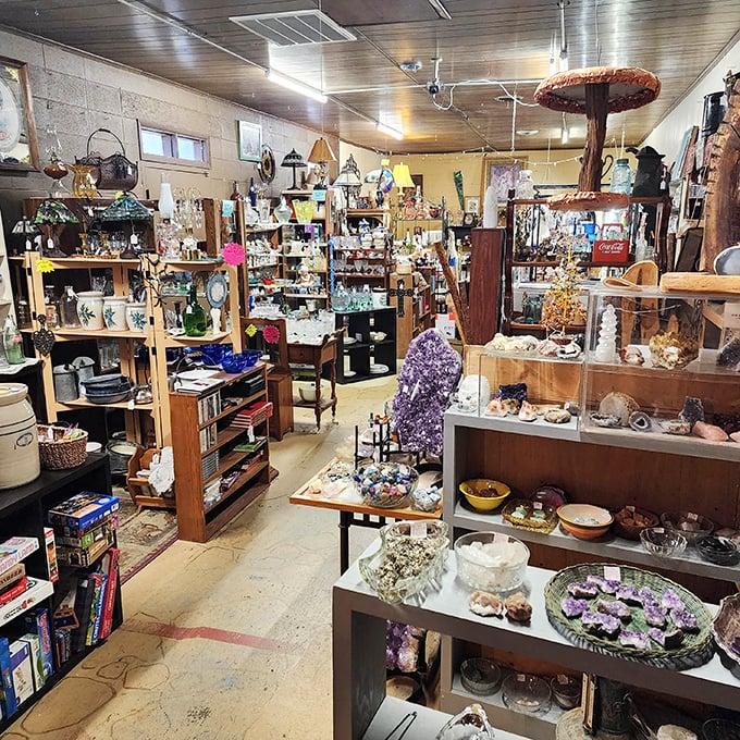 Every aisle tells a hundred stories. From crystals to collectibles, this isn't shopping—it's time travel with price tags.