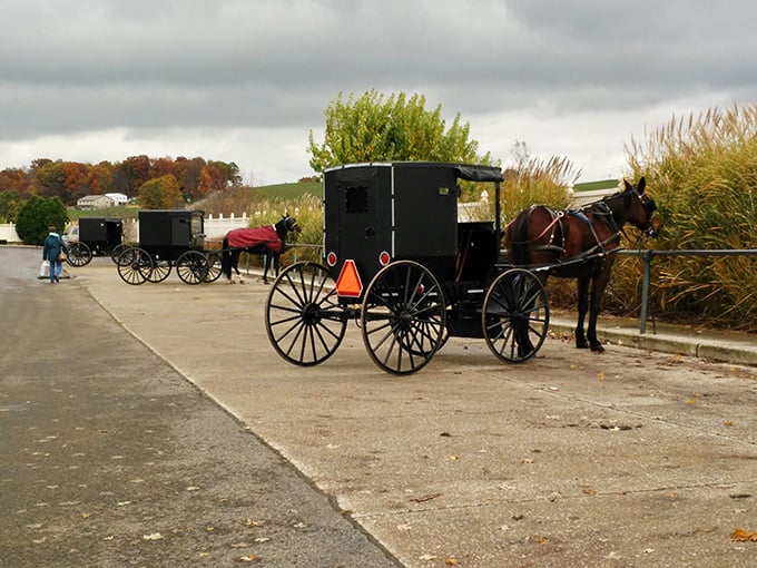 Parked buggies waiting patiently while their owners shop—the original ride-share program, just with more horsepower and less smartphone dependency.