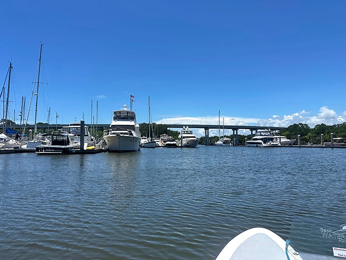 Nothing says "I'm on vacation" quite like boats bobbing gently in the marina. The water practically whispers, "Put down your phone and breathe."