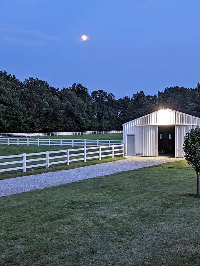 Moonlit magic at the farm. The modern barn glows under a full moon, creating the kind of peaceful nightscape that city folks pay therapists to visualize.