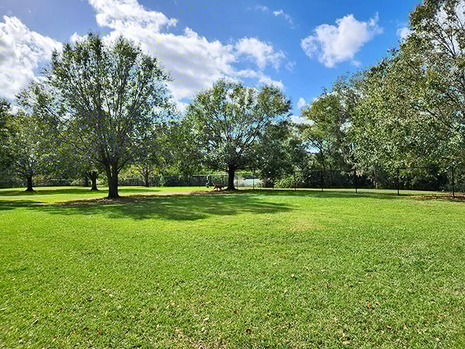 Nature's air conditioning comes standard in Bartow's parks, where sprawling oaks create perfect reading spots without adding a penny to your electric bill.