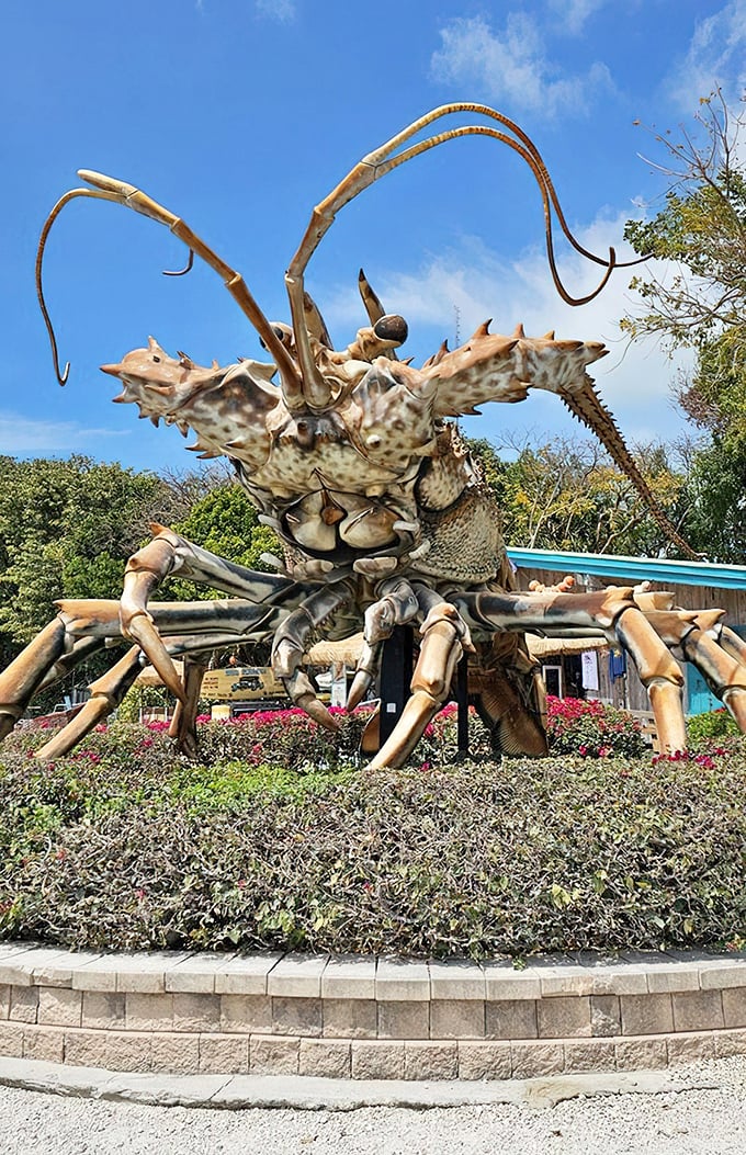Betsy isn't just any roadside crustacean—she's a 30-foot fiberglass celebrity who's survived hurricanes and become the Keys' unofficial ambassador of weird.