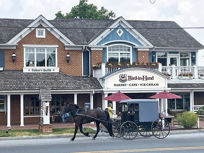 The Bird-in-Hand Bakery, where carbs are celebrated and your diet takes a well-deserved vacation.