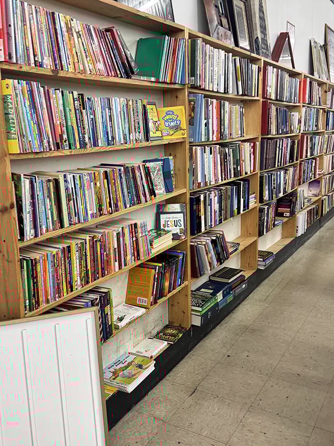A bibliophile's dream come true! These wooden shelves hold countless stories, from forgotten bestsellers to childhood classics, all begging for a second read.