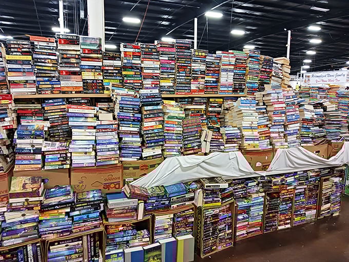 Bibliophile's dream or librarian's nightmare? This mountain of literary treasures could keep you reading until the next presidential administration.