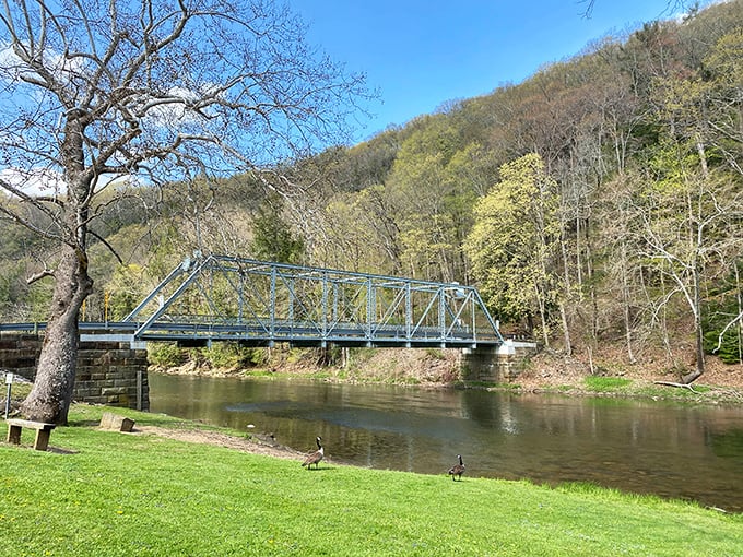 This steel bridge isn't just functional—it's a front-row seat to nature's theater. Even the geese know it's the perfect spot for people-watching.