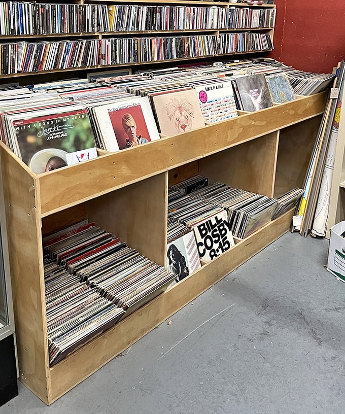 Vinyl heaven for analog souls. Each record sleeve tells two stories: the music inside and the journey it took to reach this wooden sanctuary.