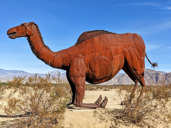No, you're not hallucinating from desert heat—that's a life-sized metal camel, perfectly at home in this arid California landscape.