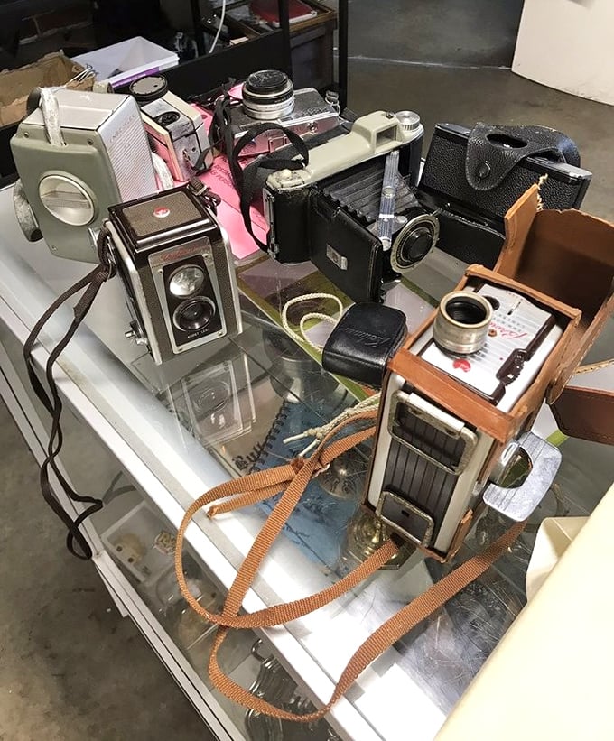 Vintage cameras line the display case, mechanical time machines from an era when "filter" meant something you attached to the lens.