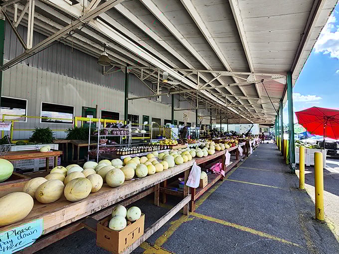 Melon heaven exists, and it's at Cordele's State Farmers Market, where these circular yellow orbs of summer joy await their moment of glory.