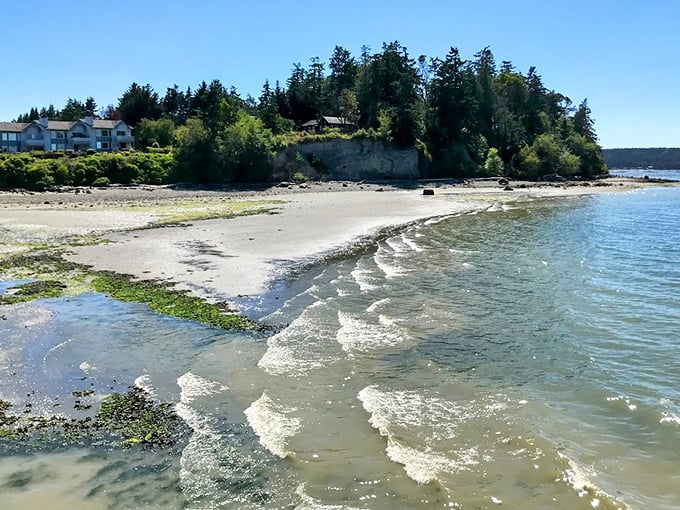 Mother Nature showing off again with this perfect beach curve. The gentle waves and driftwood are practically begging you to cancel your afternoon plans.