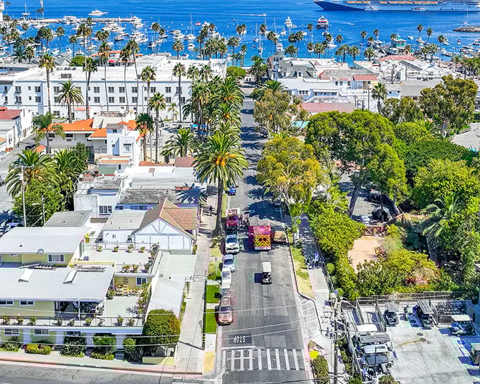 From above, Avalon's palm-lined streets and red-roofed buildings create a California coastal tapestry that would make even the most jaded traveler reach for their camera.