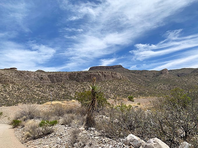 Desert trails wind through rugged terrain, offering daily adventures where the only inflation is in your sense of wonder.