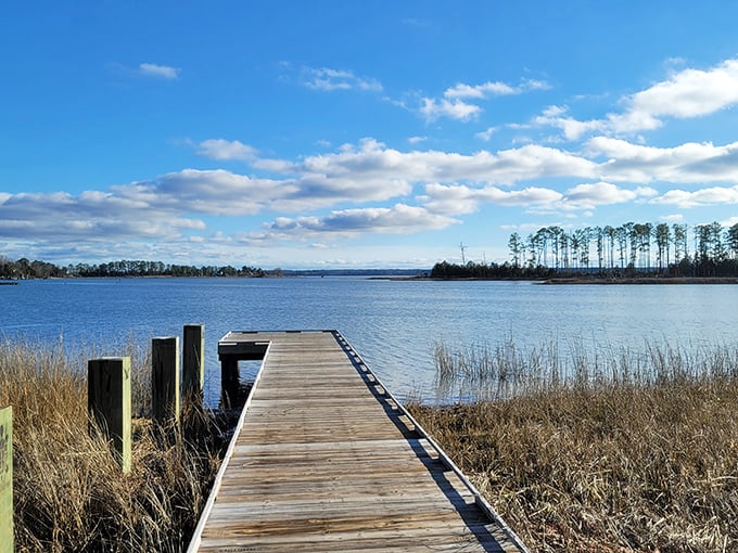 This wooden walkway isn't just a dock—it's an invitation to contemplation, stretching toward the horizon like a meditation path for water lovers.