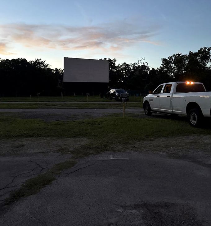 Twilight magic at Joy-Lan Drive-In, where pickup trucks become living rooms and the Florida dusk sets the perfect scene for cinematic escape.
