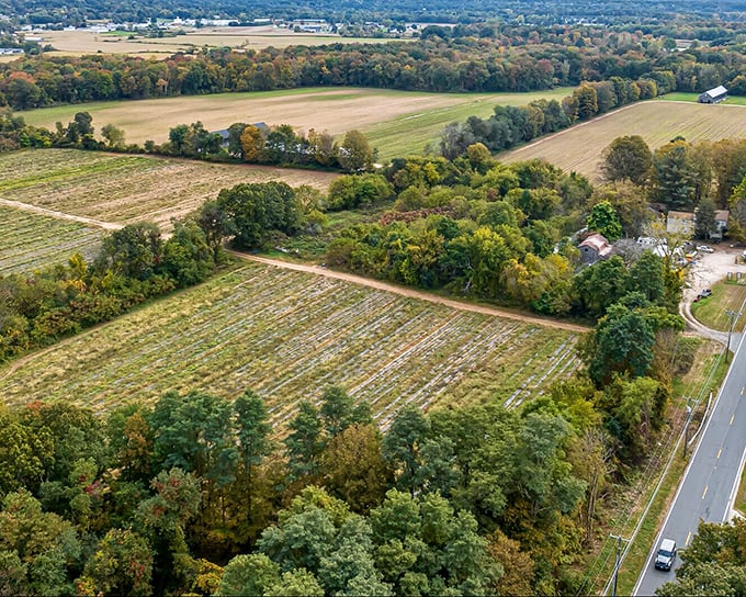 Farmland stretches toward the horizon, a patchwork quilt of agricultural heritage that reminds you Connecticut isn't all hedge funds and yacht clubs.