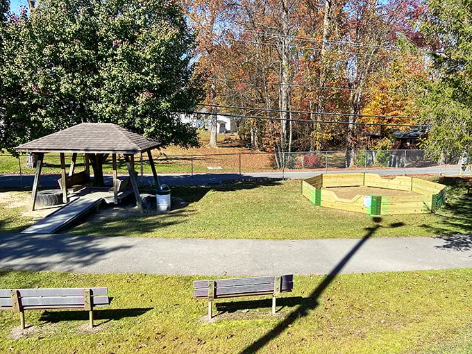 Sometimes the simplest pleasures win—Fayetteville's town park offers benches where you can contemplate life or just watch squirrels plot their next heist.