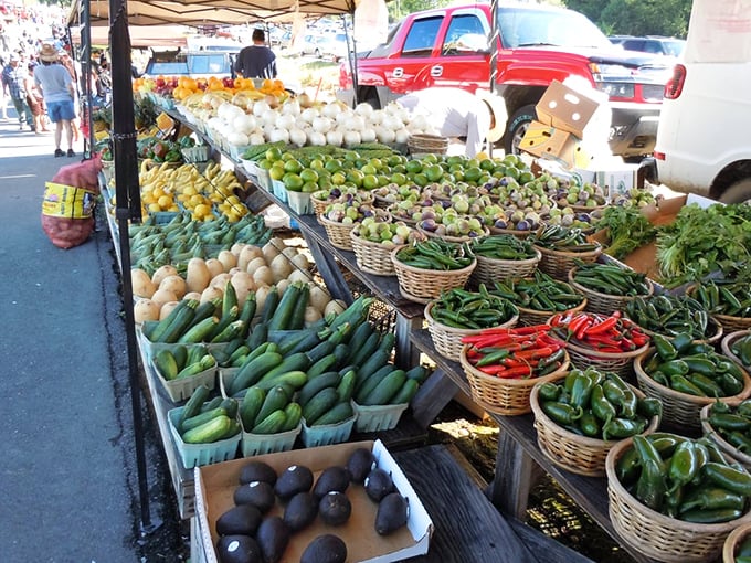 Nature's color palette on full display—these farm-fresh vegetables haven't yet heard they're supposed to be shrink-wrapped and bar-coded.