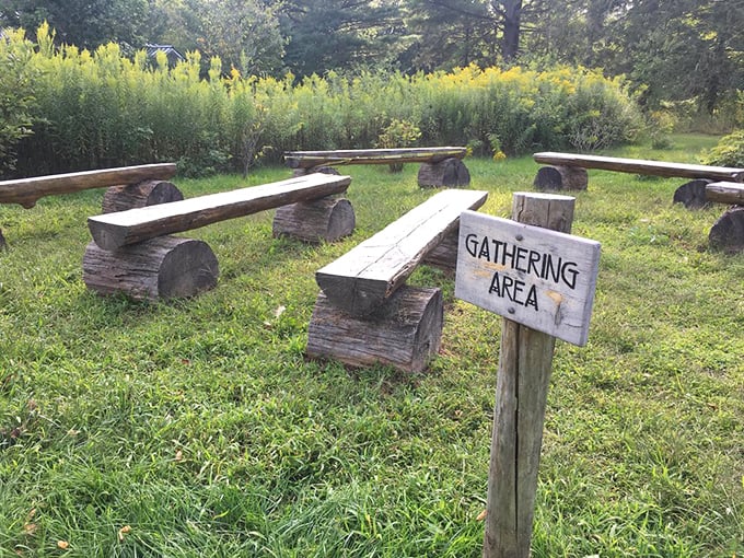 Nature's classroom doesn't need PowerPoint. These rustic log benches create a gathering space where the only required reading is the landscape itself.