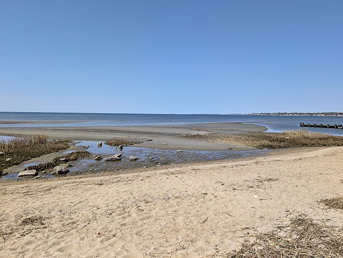 Harvey's Beach offers that rare coastal magic—a shoreline where you can actually find your family without sending up flares or climbing a lifeguard stand.